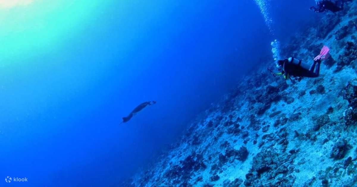 探索冒險：刁曼島 Padi 高級開放水域潛水員課程與 Padi 5 星級 Cdc 合作 Klook 客路